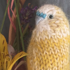 KNITTING PATTERN - Budgerigar - Etsy