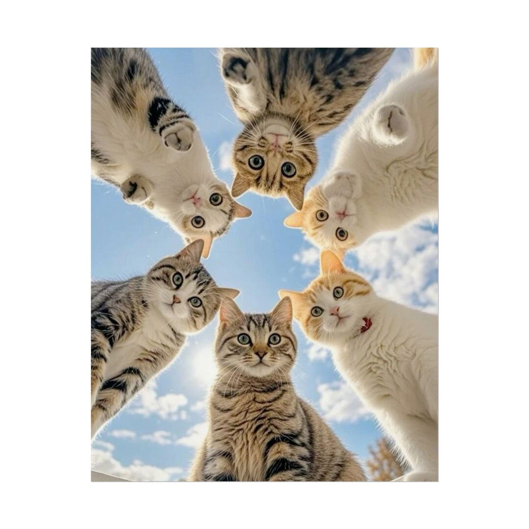 Cat Art Poster: Cheerful Feline Prints for Cat Lovers - Etsy
