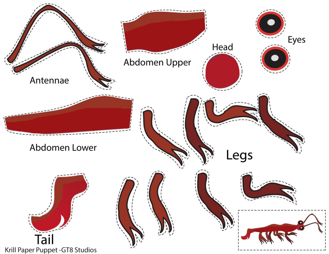 Krill Paper Puppet Doll Activity Set - Etsy