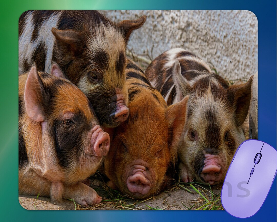 Piglets PIGS Cute Mouse Pad - Etsy