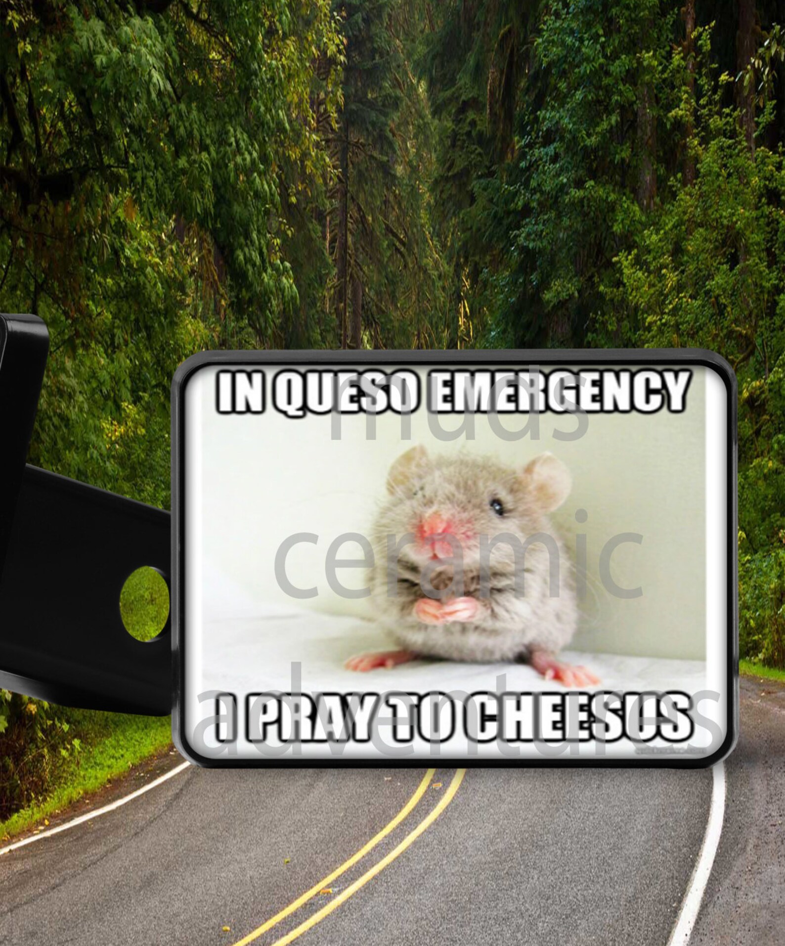 Cute Mouse in Queso Emergency I Pray to Cheesus Funny and Flag - Etsy