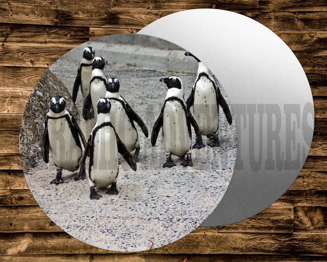 Pretty Metal Sign PENGUINS Sign for Wreaths Crafts & Miniatures ...