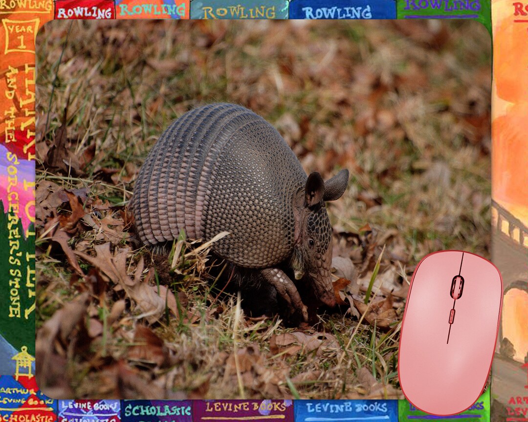Home With the Armadillo Texas Mouse Pad - Etsy