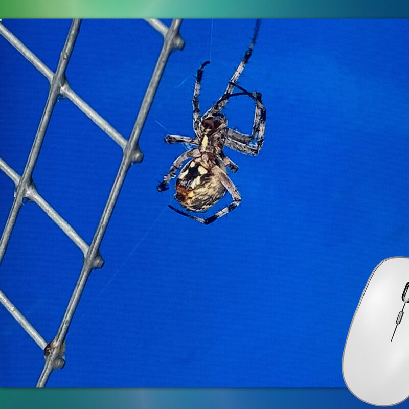 Spider Web Keyboard - Etsy