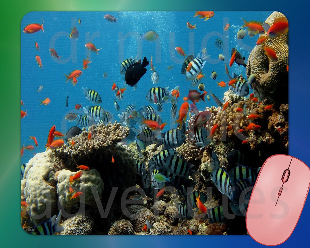 Beautiful Underwater Ocean Fish Mouse Pad - Etsy