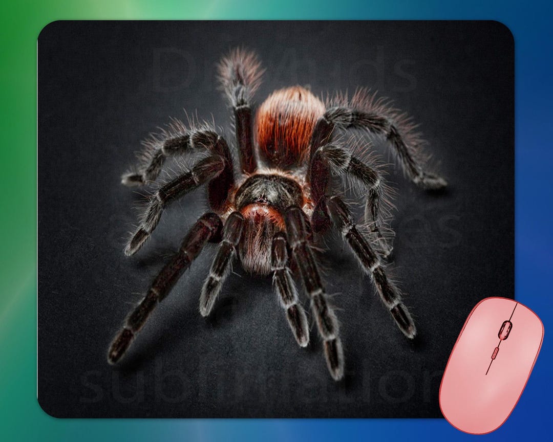 Tarantula Spider Mouse Pad - Etsy
