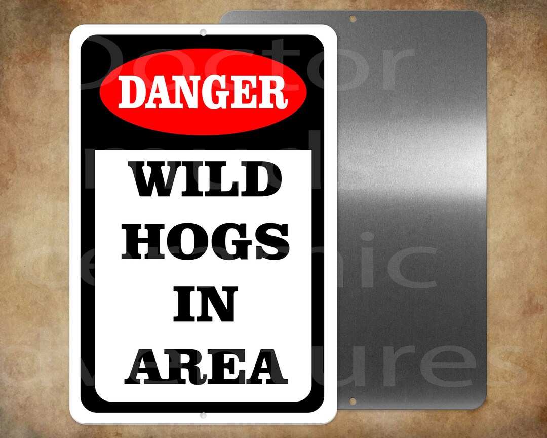 DANGER Wild Hogs in Area 8 X 12" Metal Sign - Etsy