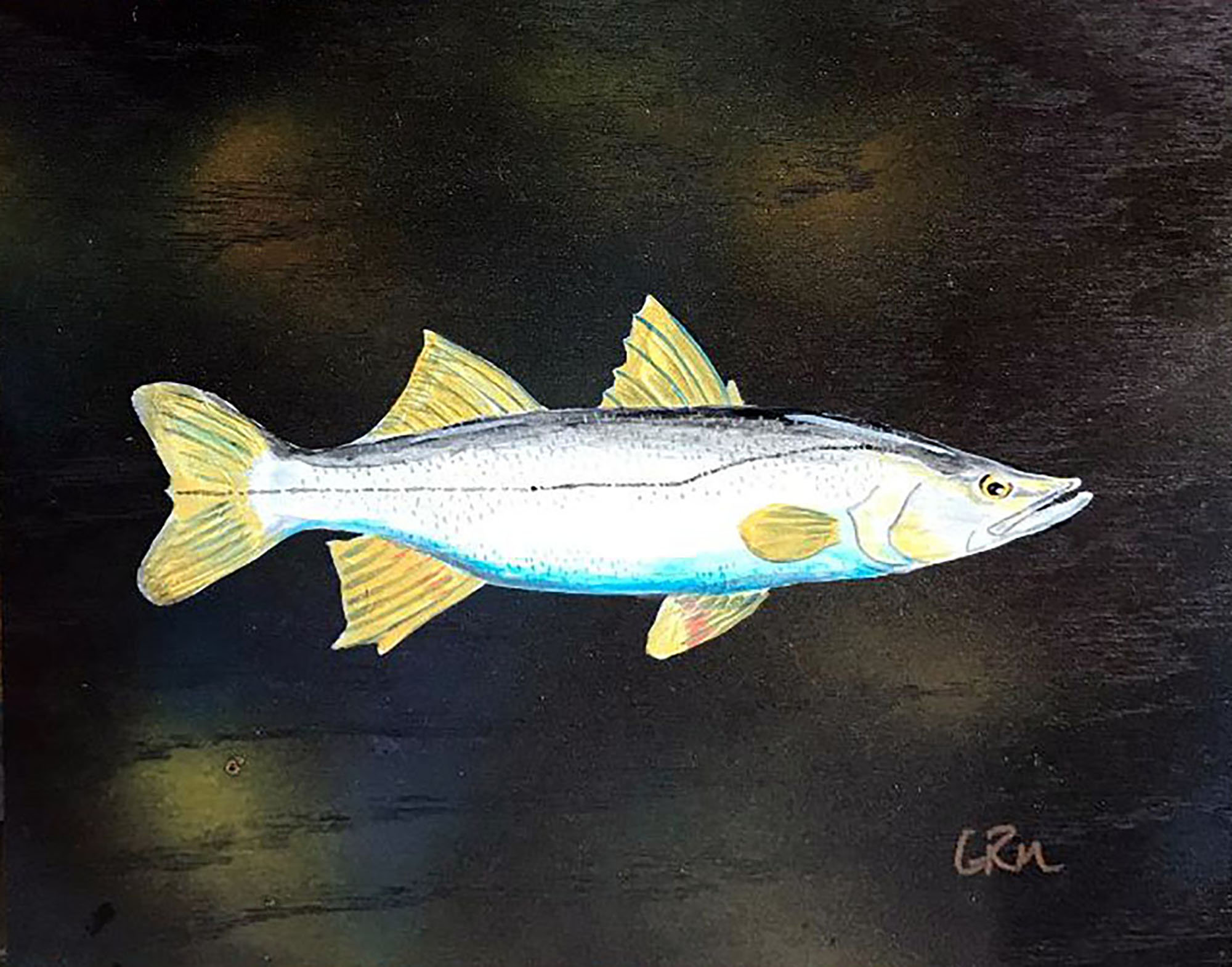 Original Art Sporting Art Painting Saltwater Fishing Fish | Etsy