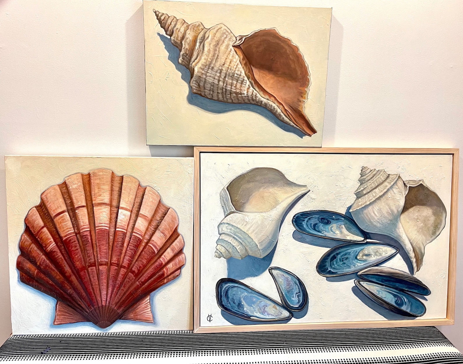 Giant Scallop Shell 24x24 Original Oil on Canvas - Etsy