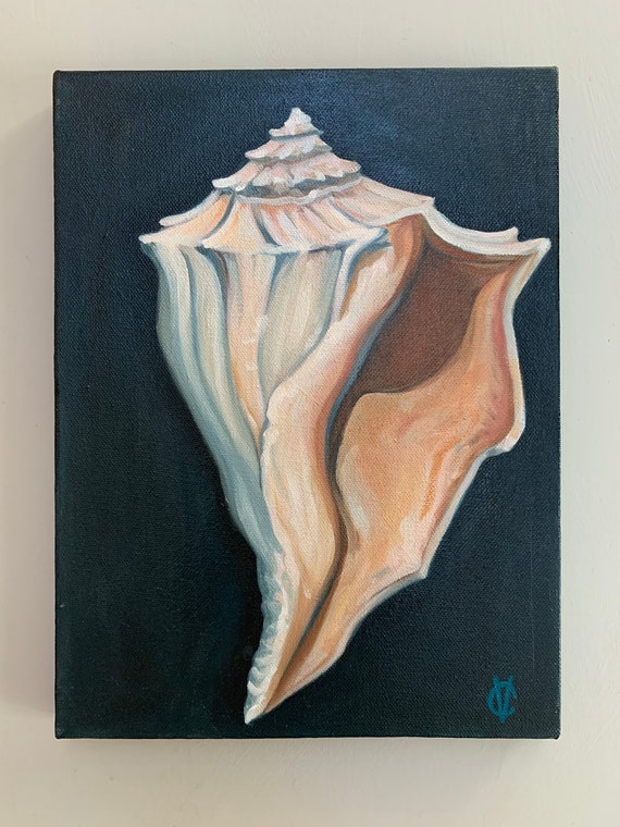 Welk Shell Original - Etsy