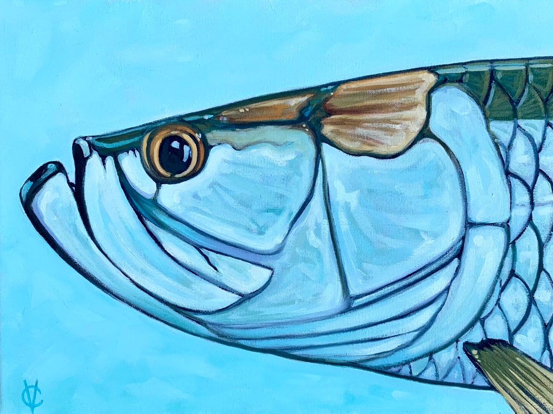 Tarpon 9”x12” Original Oil - Etsy
