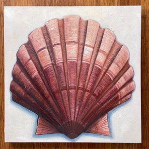 Giant Scallop Shell 24x24 Original Oil on Canvas - Etsy