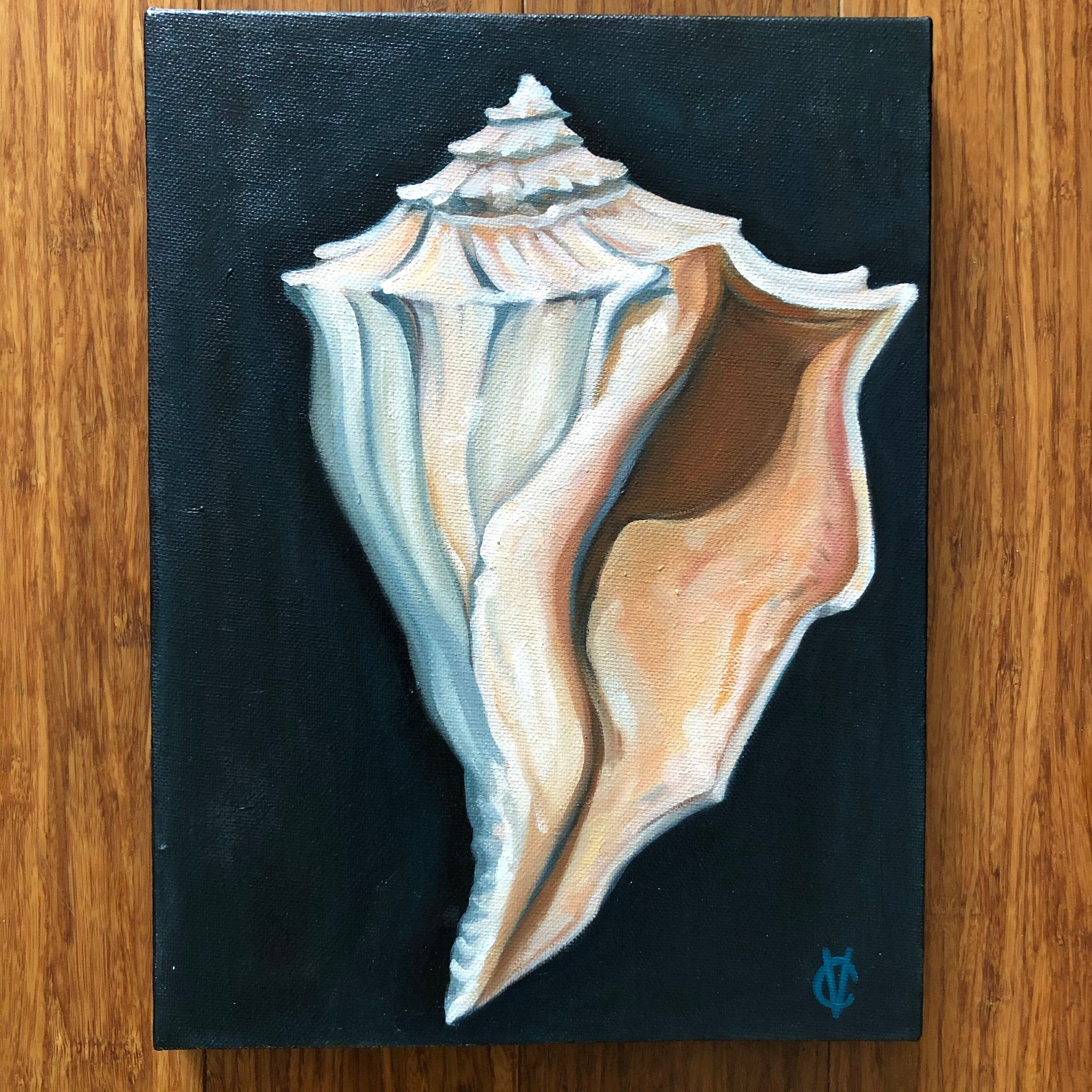 Welk Shell Original - Etsy