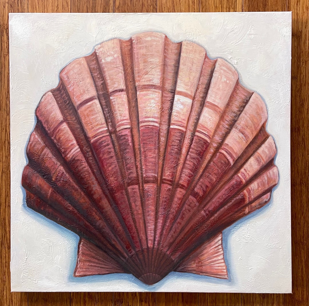 Scallop Shell Original Oil Painting 24x24 - Etsy