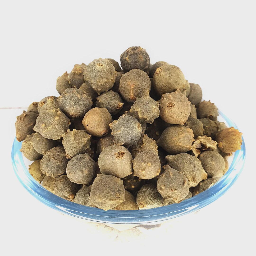 Quercus Infectoria Whole/powder, Manjakani, Manjakani, Manjuphal Phal ...