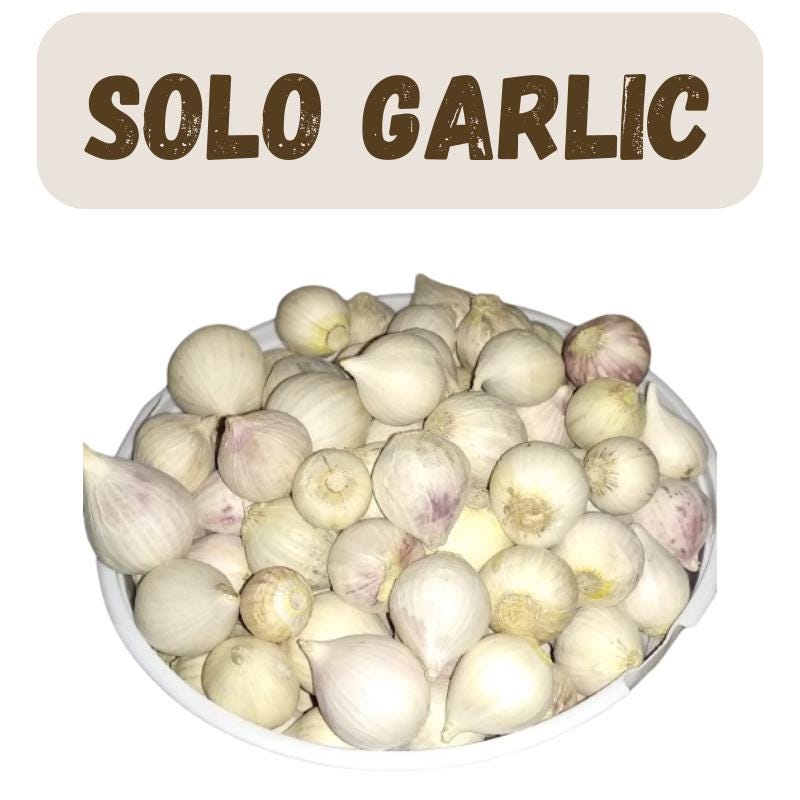 Solo Garlic - Etsy