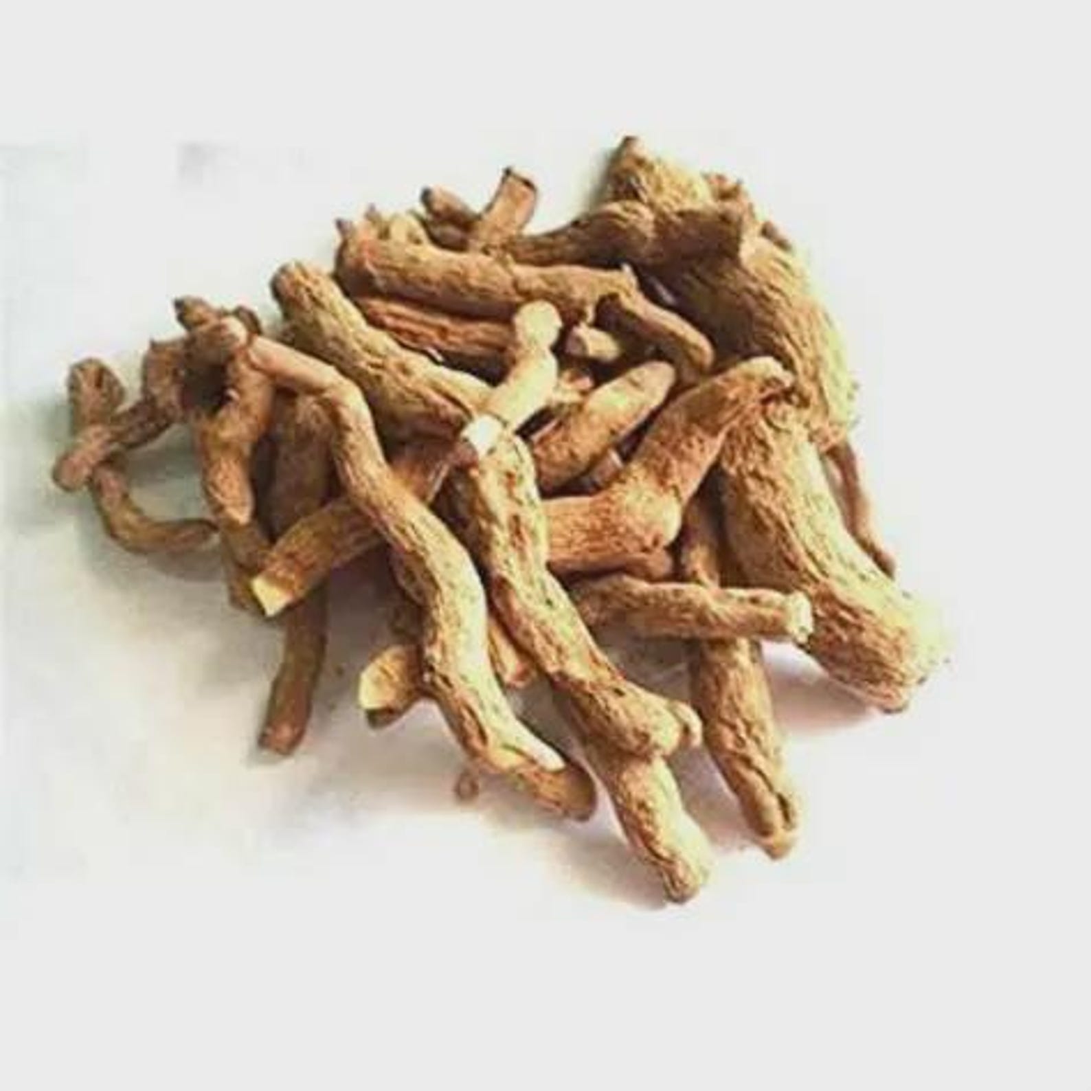 Sarpagandha Root Whole / Powder by EHS - Etsy