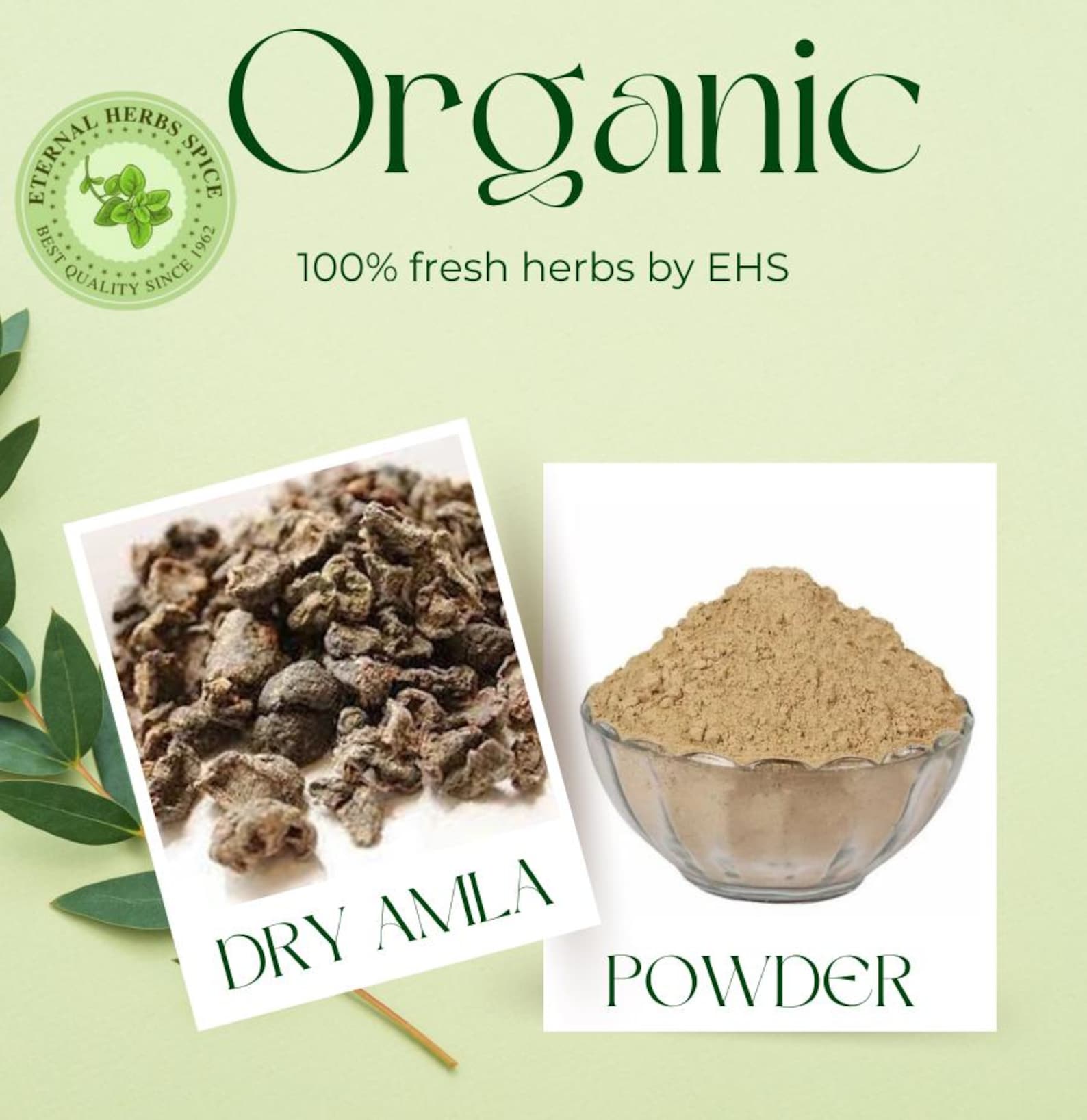Dried Amla: Organic Gooseberry, Whole or Powder - Etsy