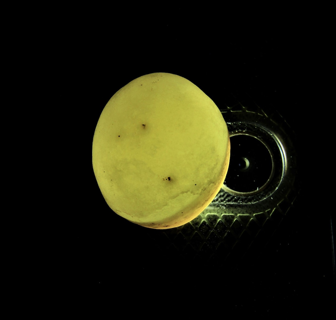 White Sheba Stone 19.10 Grams/ Cristobalite/rare Light Hugger/spherical ...