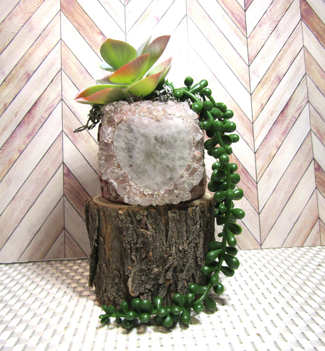 Concrete Planter Quartz Heart Valentines Gift Succulent Plant ...