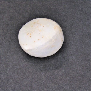 White Sheba Stone 19.10 Grams/ Cristobalite/rare Light Hugger/spherical ...