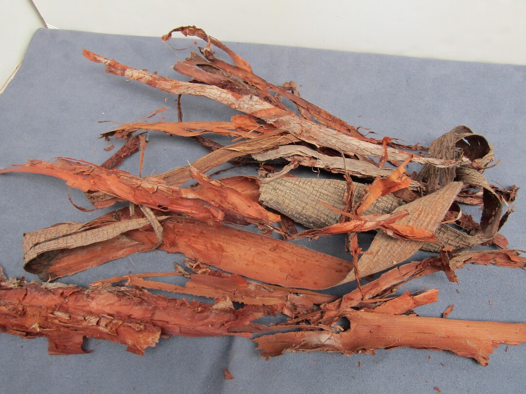 Rose Plant Bark Strips /basket Weaving/organic Baskets/fiber for ...
