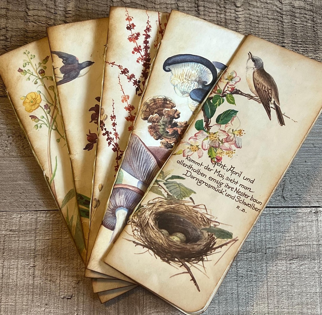 Edith Holden German Edition Insert Booklet Journals, Ephemera ...