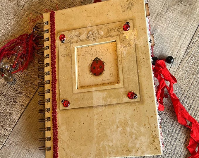 Ladybug Journal, Vintage Laces, Buttons, Gift, Travel Journal, Handmade ...
