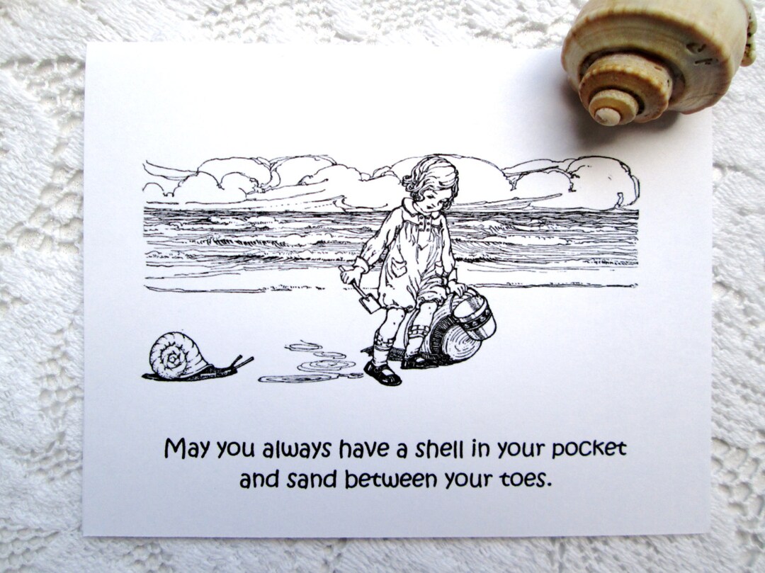 Shell in Your Pocket Blank Note Cards Set of 6, Beach Themed Note Cards ...