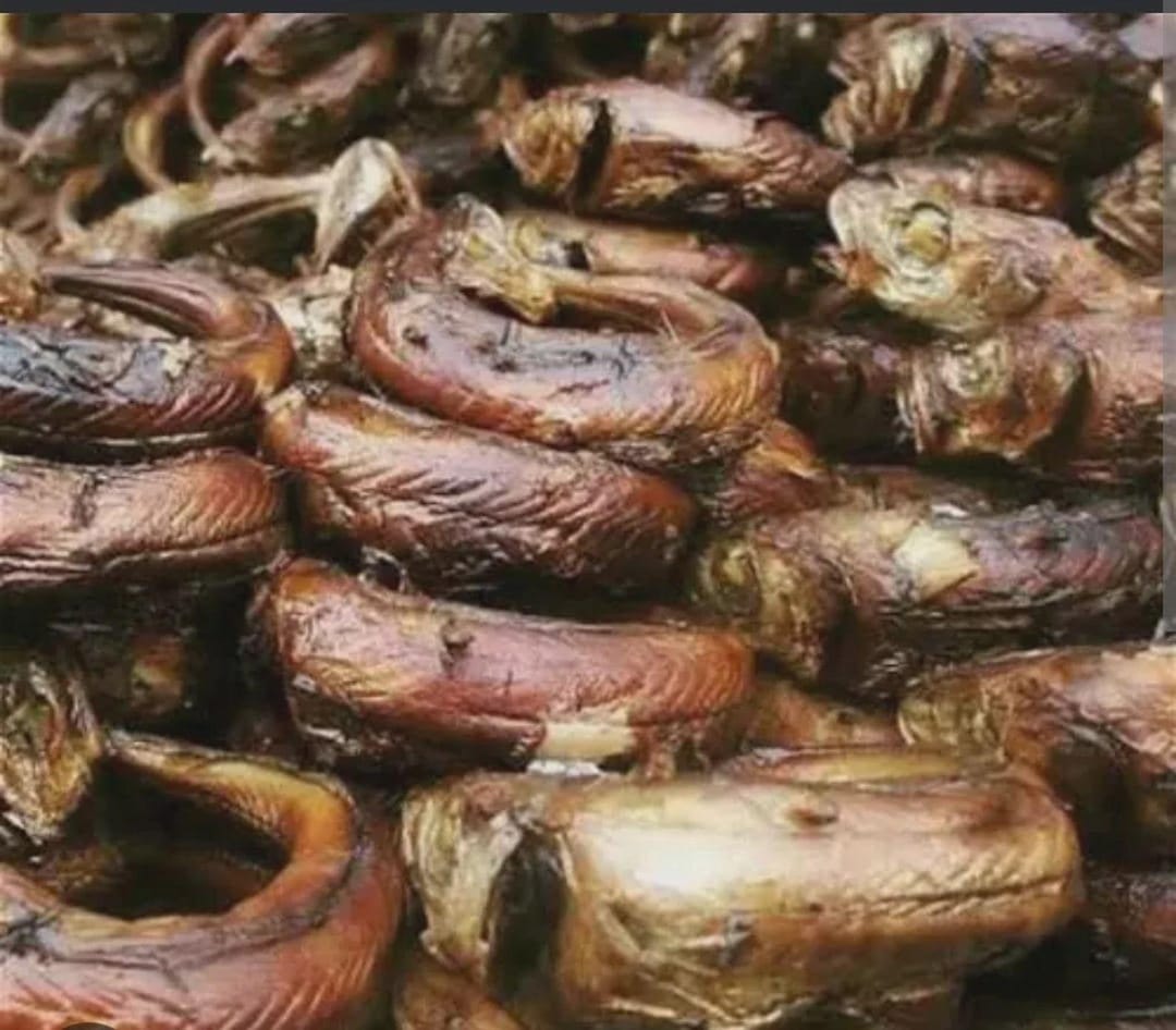 Eja Kpanla Kika: Pescado Kpanla ahumado de tamaños medianos y grandes ...