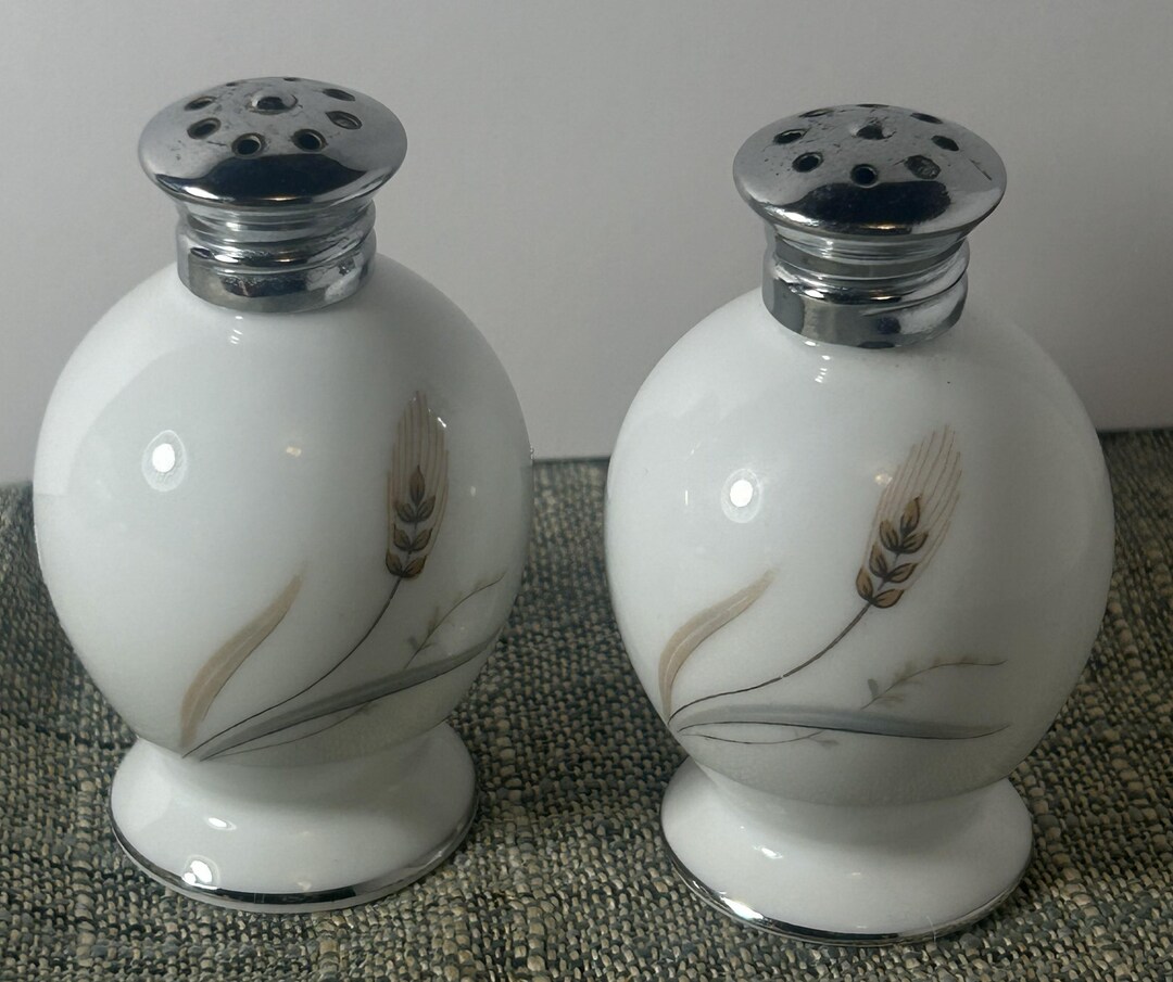 Vintage Simplicity by Sango Japan (discontinued) Ceramic Salt & Pepper ...
