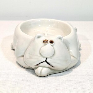 fish skeleton soap dish