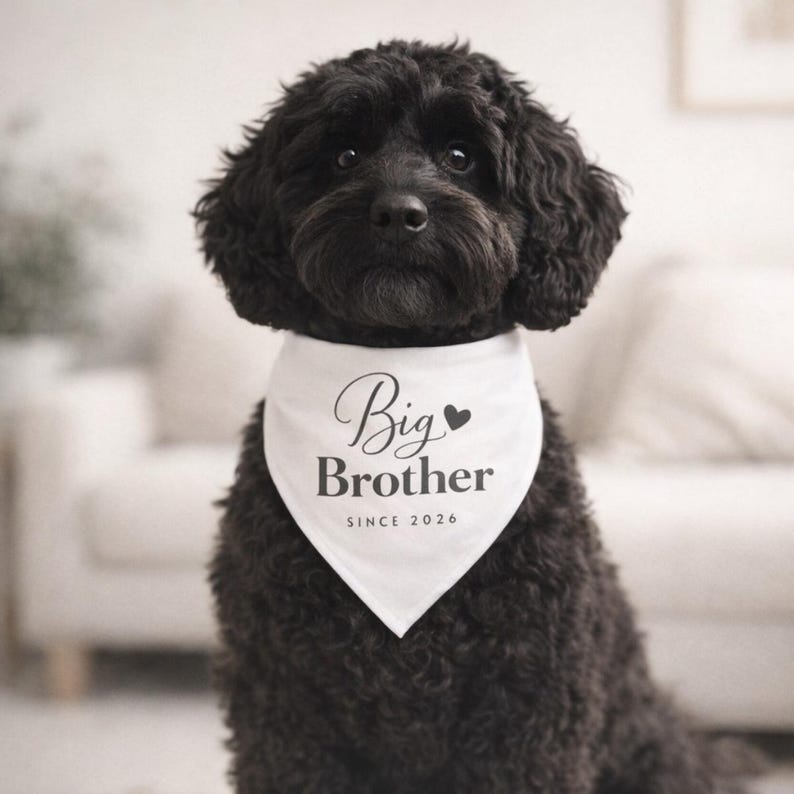 Big Brother/sister Dog Bandana, Pregnancy Reveal Photo Prop, Custom ...