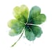 Watercolor Shamrock PNG: St Patricks Day Four Leaf Clover (digital ...