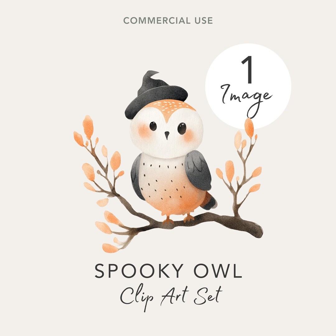 Witchy Owl Clipart: Halloween Illustration With Witch Hat (PNG Digital ...