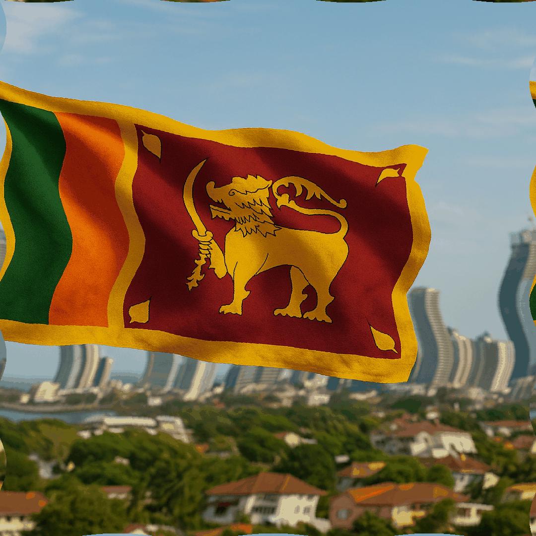 Sri Lanka National Flag | 100% Polyester Indoor/outdoor Flag – Handmade ...
