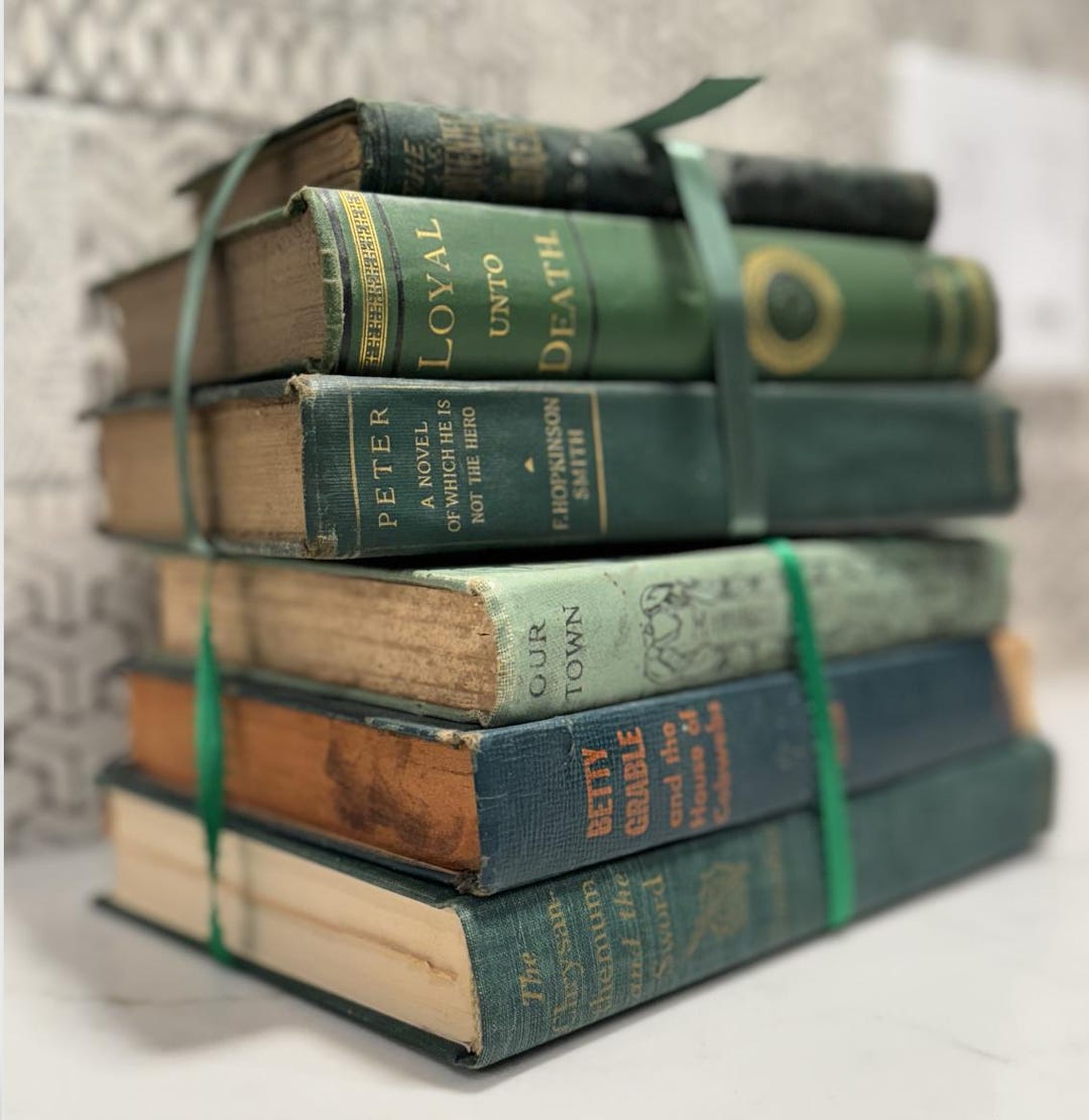 Vintage Book Bundle, Decorative Books by Color, Shelf Styling Decor - Etsy