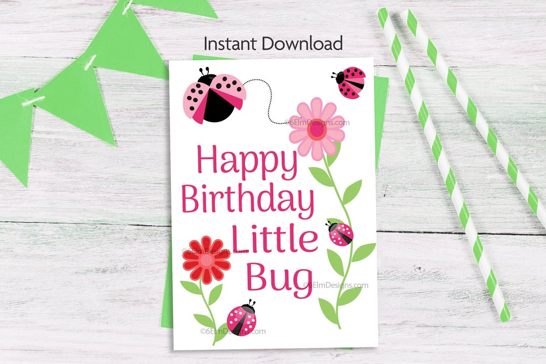 Printable Happy Birthday Little Bug Greeting Card Lady Bug ...