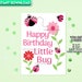 Printable Happy Birthday Little Bug Greeting Card Lady Bug ...