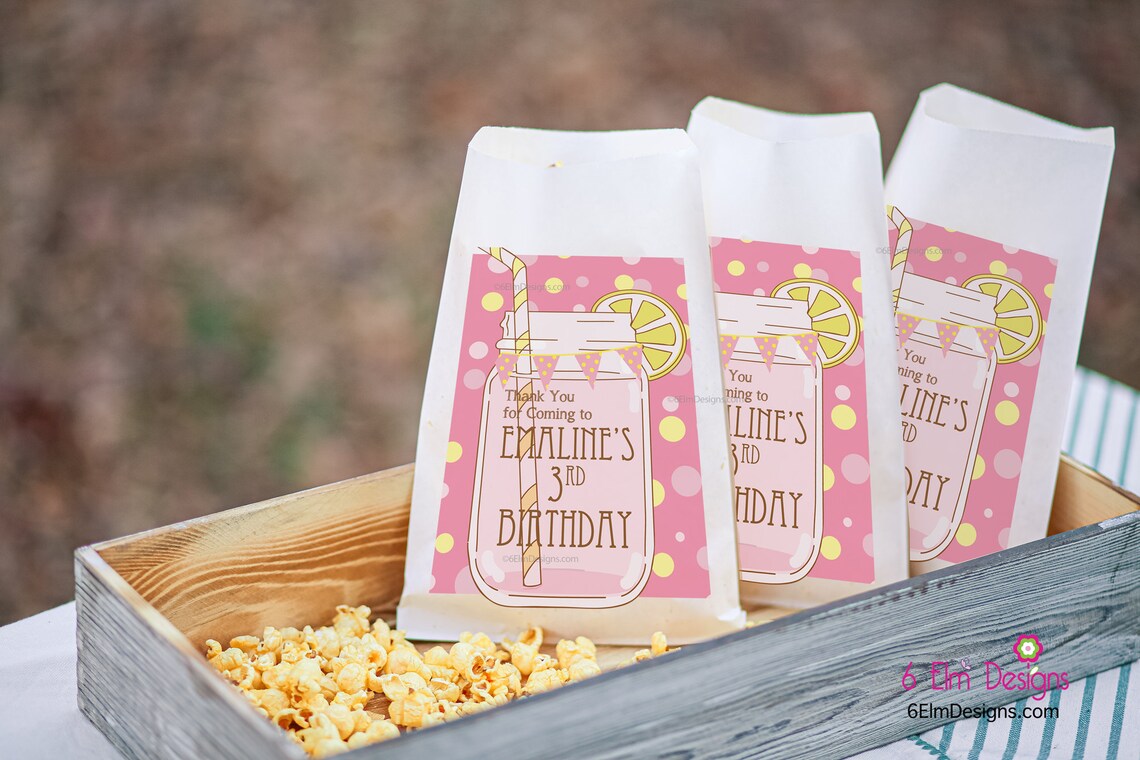 Lemonade Mason Jar Birthday Party Favor Bags Sip and See | Etsy