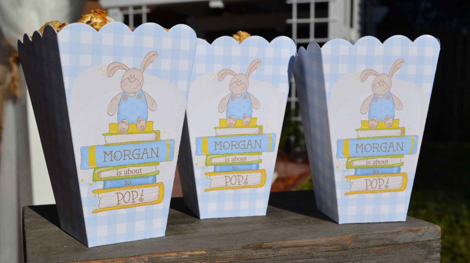 Bunny About to Pop Popcorn Boxes for Baby Boy, Gingham With Books ...