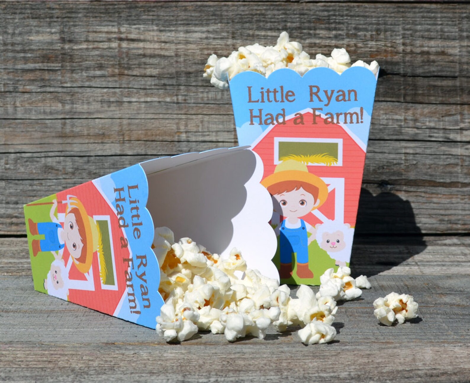 Farm Party Popcorn Boxes for Boys Birthday Favors With Farm Animals ...