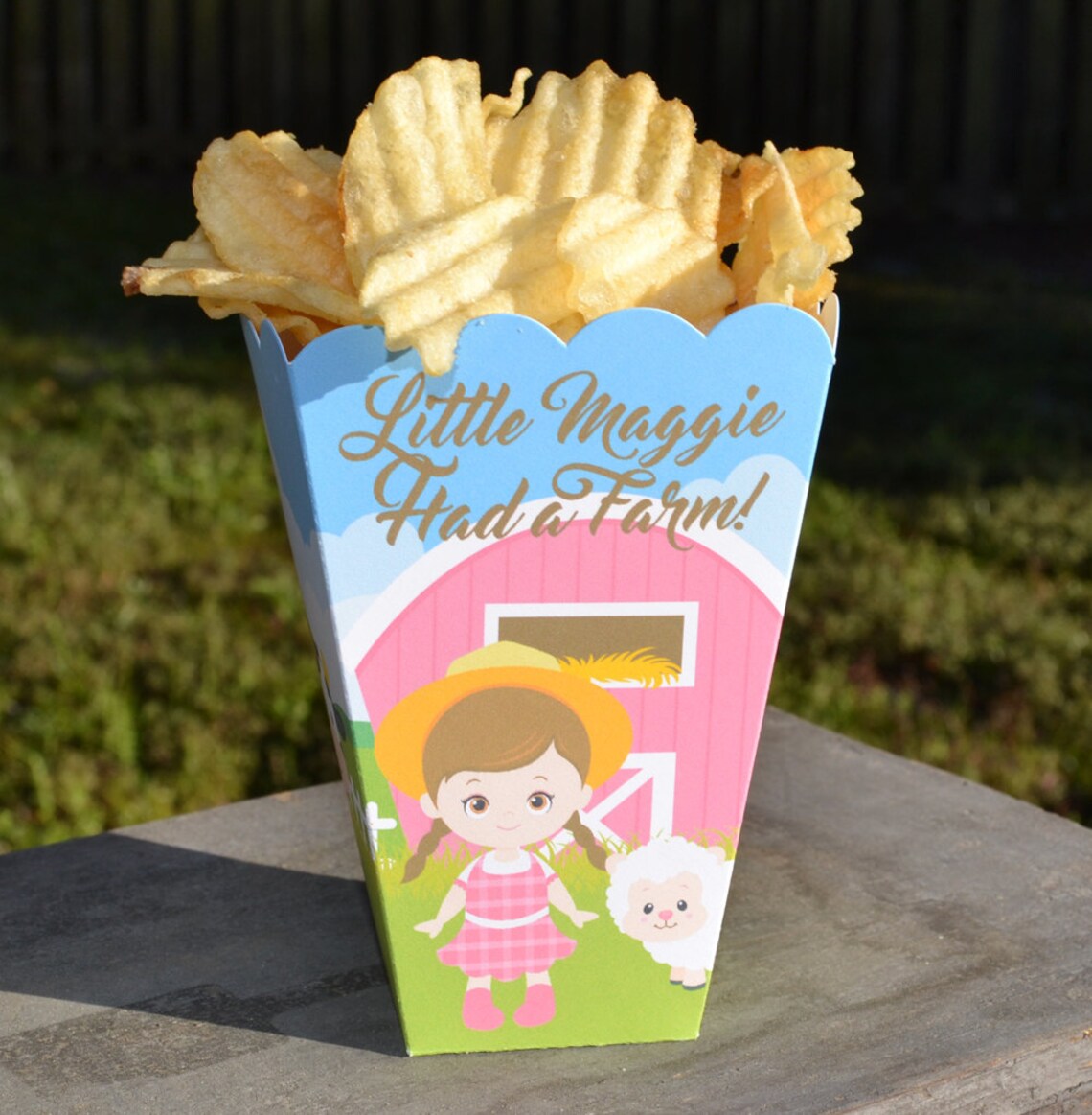 Pink Barn Farm Party Popcorn Boxes for Girls Birthday Favors Farm ...