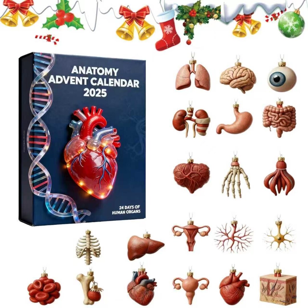 Anatomy Advent Calendar 2025 | 24 Days of Human Organ Collectibles ...