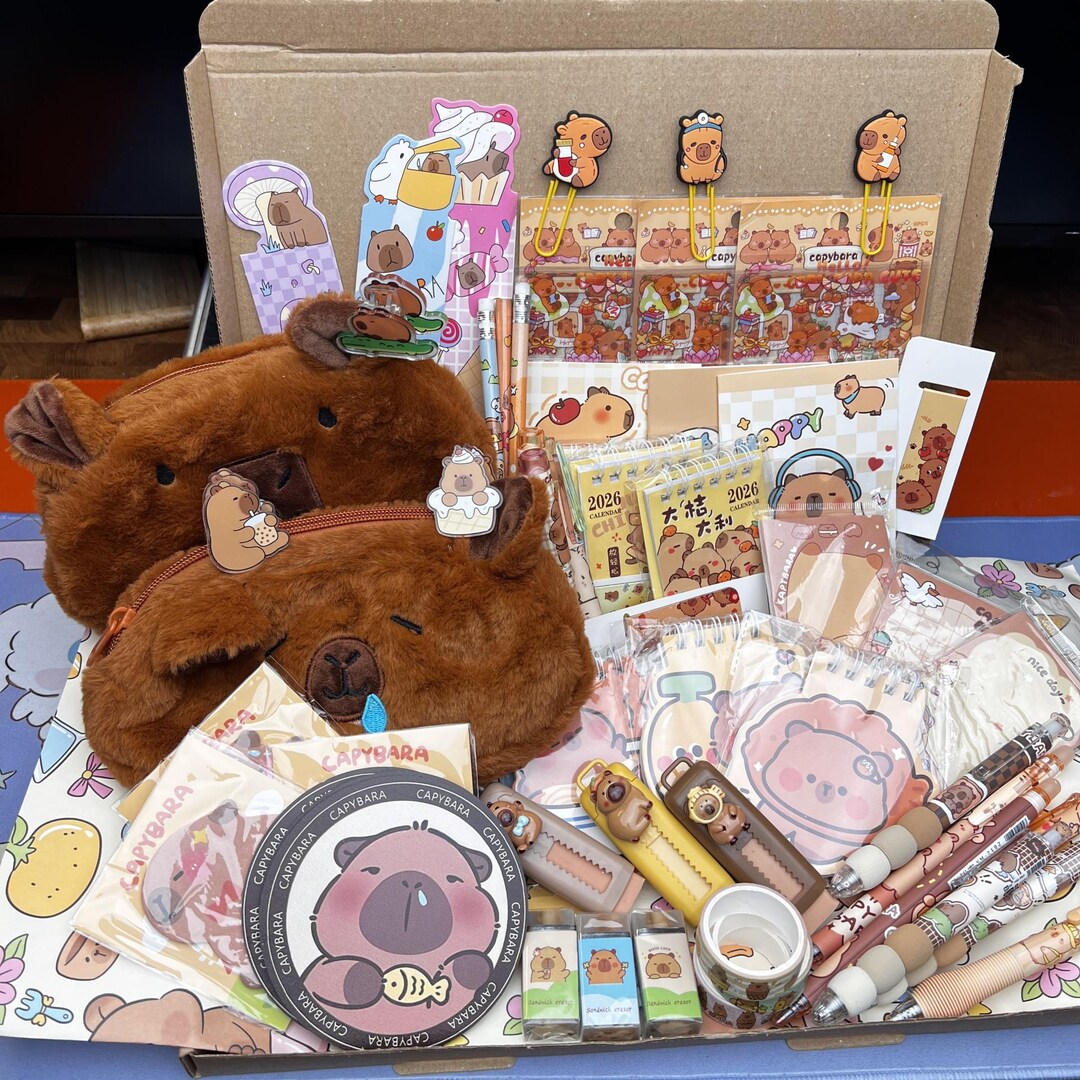 Capybara Mystery Stationery Set | Kawaii Bundle | Student Gift Box ...