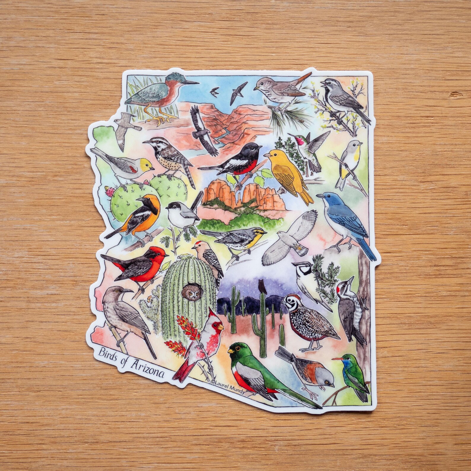 Birds of Arizona Large Sticker 5"x4" Large Vinyl Wildlife Bird Sticker ...