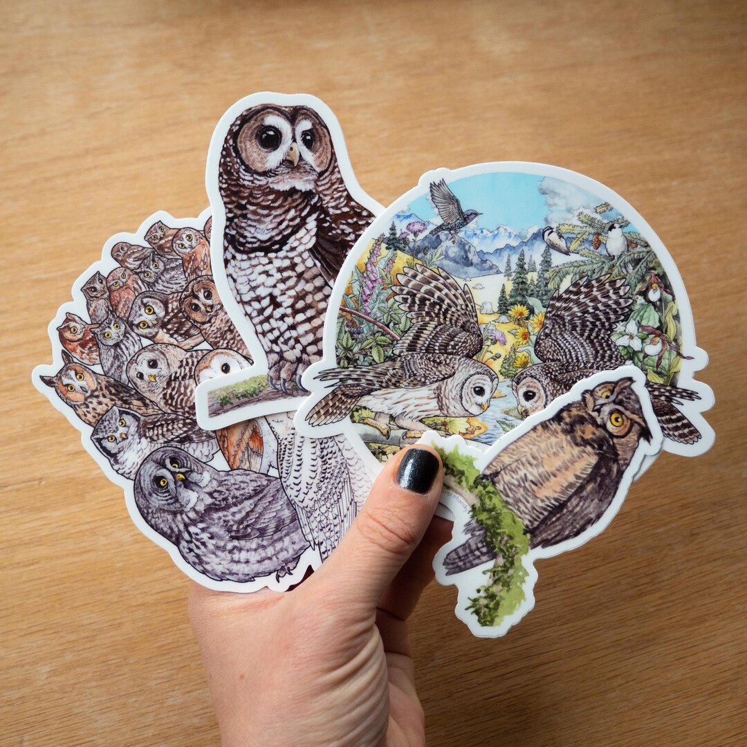 All the Owls Set of 4 Vinyl Stickers 3 Large and 1 Medium Waterproof ...