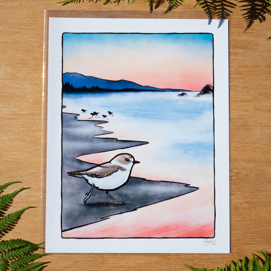 Snowy Plovers 8.5"x11" Art Print - Artwork for Bird and Wildlife Lovers ...
