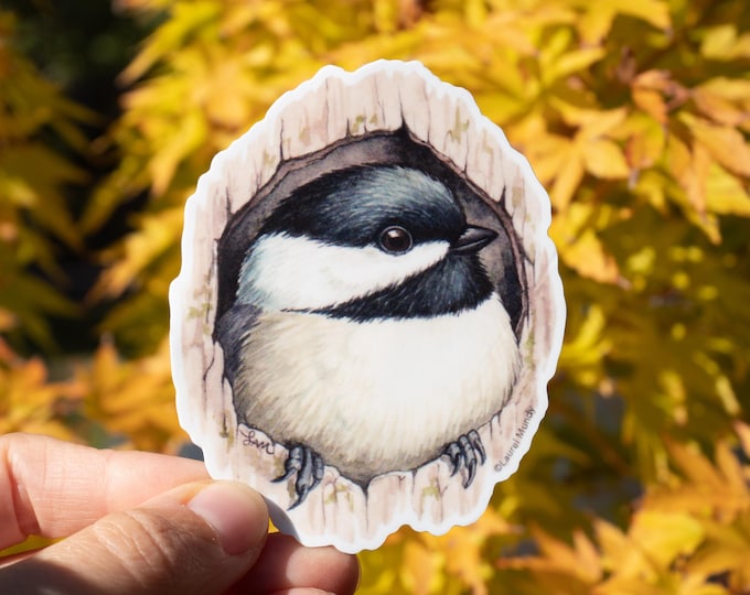 Bird Sticker Pack - Set of 5 Waterproof Vinyl Backyard Bird Stickers ...