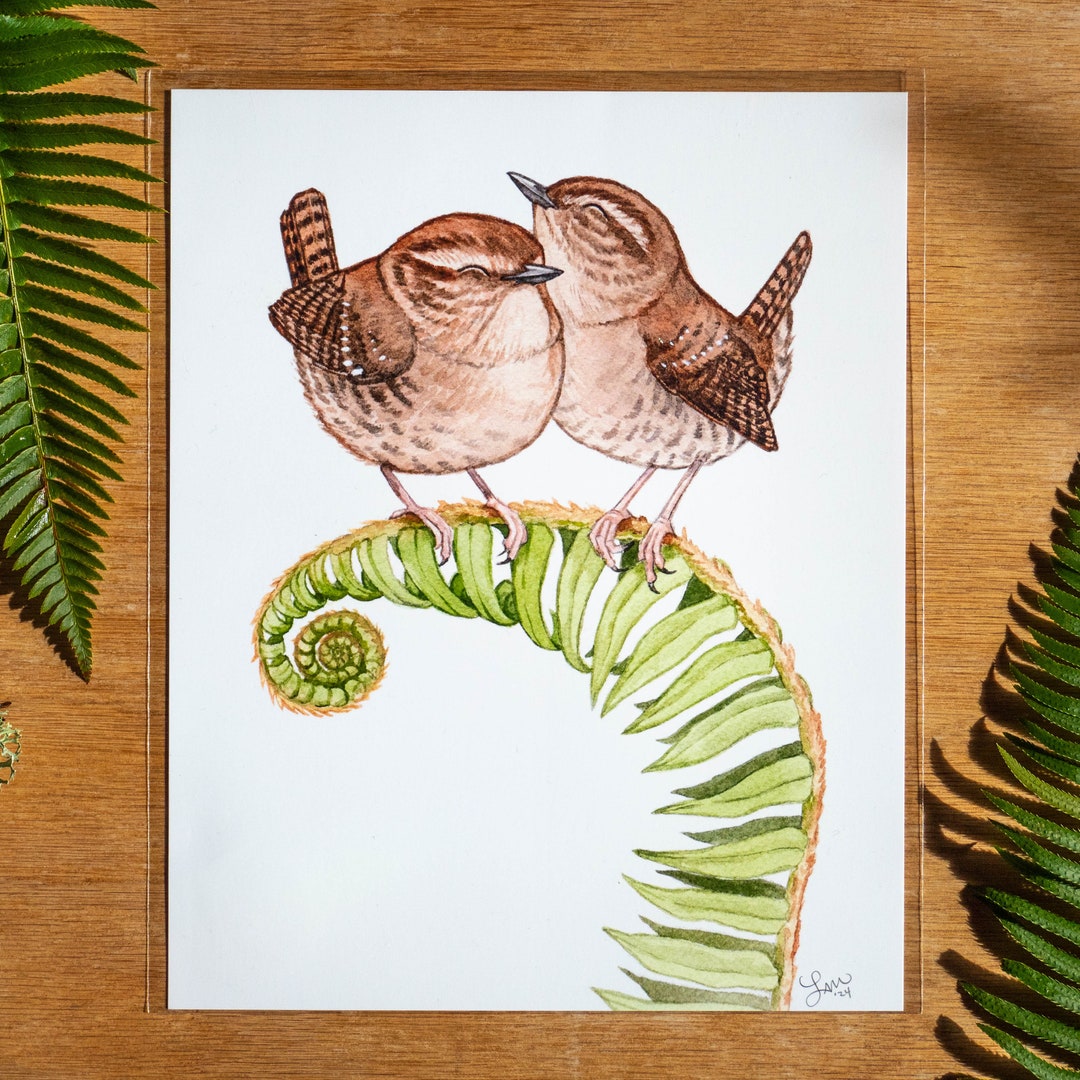 Wren Friends 8x10 Art Print - Pacific Wrens on Sword Fern Painting - Etsy